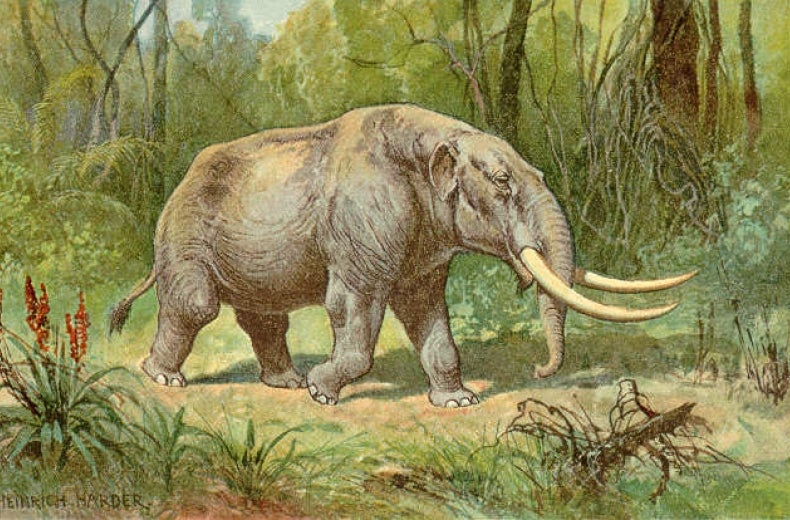 Paleontologist in Chief: Thomas Jefferson’s Quest for the Mastodon ...