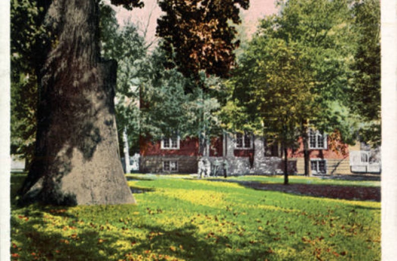 The Legacy of the Annapolis Liberty Tree | Boundary Stones